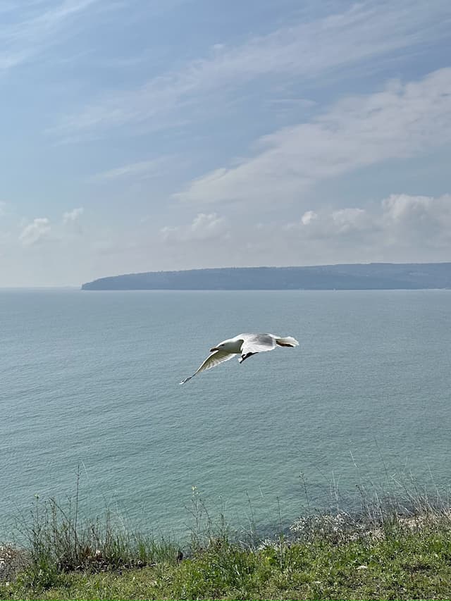 Home | Propeller Club